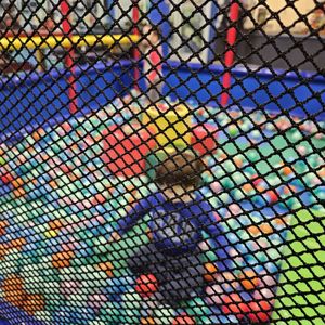 TEAMWORKS NORTHBOROUGH - Updated September 2025 - 24 Photos & 13 ...