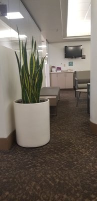 HONORHEALTH SCOTTSDALE SHEA MEDICAL CENTER - 95 Photos & 348 Reviews ...