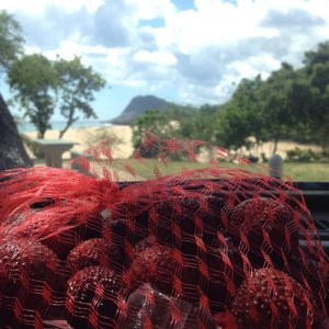 ZABLAN - 27 Photos & 13 Reviews - 89-49 Laumania Ave, Waianae, HI - Yelp