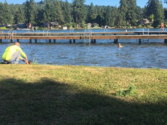 LAKE GROVE SWIM PARK - Updated July 2024 - 11 Photos - 3800 Lakeview ...