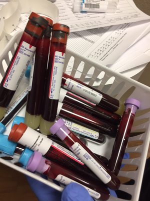 CLINICAL PATHOLOGY LABORATORIES - Updated December 2025 - 21 Photos ...