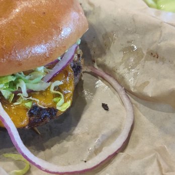 WING DOME - Updated October 2025 - 441 Photos & 637 Reviews - 7818 ...