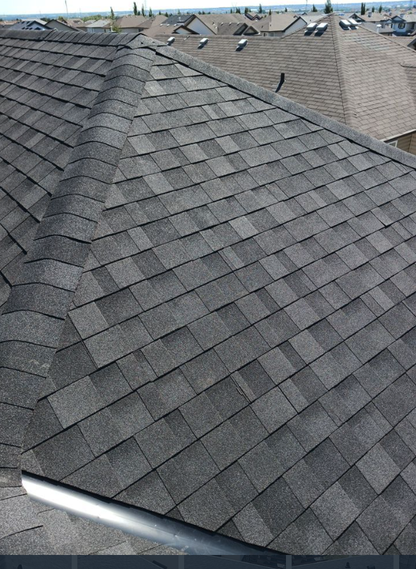 ADVANCED LEVEL ROOFING - Updated January 2026 - Request a Quote - 14 ...