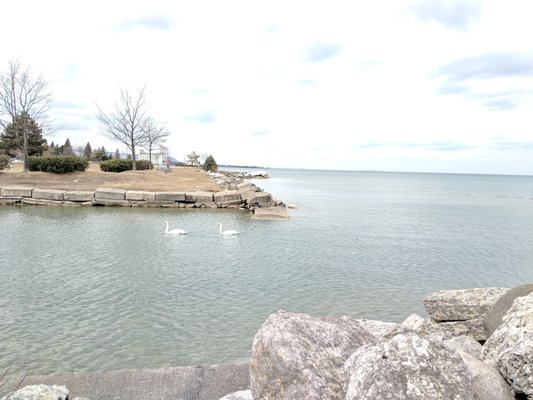 SUNSET POINT BEACH - 19 Photos - 57 St Lawrence Street, Collingwood, ON ...