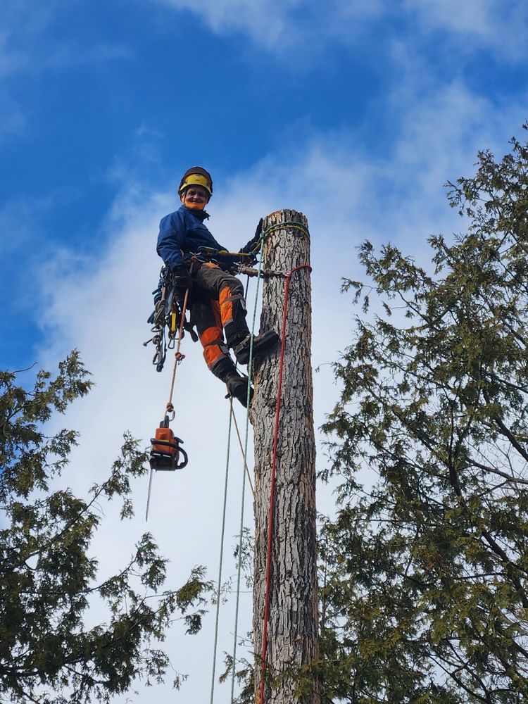 WOODMAN TREE WORK & VERTICAL ENTERPRISES - Updated April 2024 - Request ...