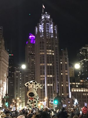 THE MAGNIFICENT MILE LIGHTS FESTIVAL - Updated November 2024 - 46 ...
