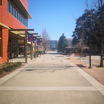 SHIELDS LIBRARY - Updated October 2025 - 67 Photos & 38 Reviews - 100 ...