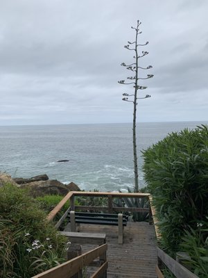 RUBY STREET PARK - Updated January 2025 - 2107 Ocean Way, Laguna Beach ...