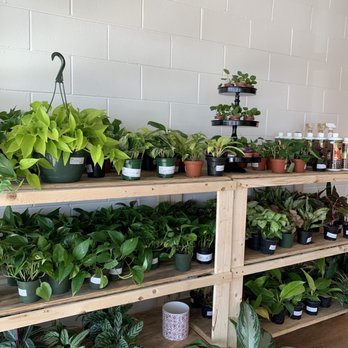 COLLIGO COFFEE - Updated August 2025 - 33 Photos & 14 Reviews - 724 ...