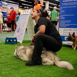 Dog Training Elite Reviews | Read Customer Service Reviews of dogtrainingelite.com