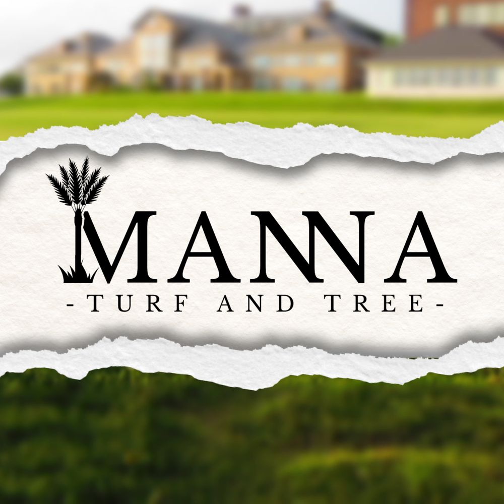 MANNA TURF AND TREE - Updated December 2025 - 14 Photos - Gilbert ...