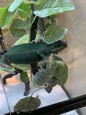 PET BAZAAR - Updated July 2024 - 66 Photos & 75 Reviews - 490 State Rd ...