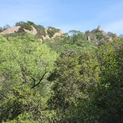 DIABLO FOOTHILLS REGIONAL PARK - 237 Photos & 44 Reviews - 1700 Castle ...