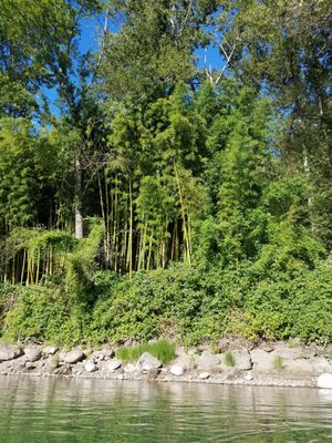 LOWER SANDY RIVER FLOAT - Updated October 2025 - 1 Jordan Rd, Troutdale ...