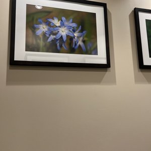 TOUCHSTONE IMAGING - DENTON - Updated December 2025 - 40 Reviews - 2817 ...