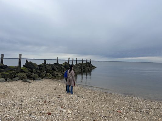 THE SANDS POINT PRESERVE CONSERVANCY - Updated December 2025 - 537 ...