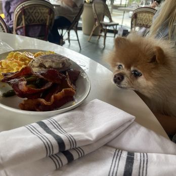 MONARCH - Updated December 2025 - 371 Photos & 301 Reviews - 5701 Main ...