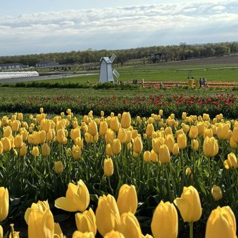 NELSON PRODUCE FARM - Updated January 2026 - 169 Photos & 27 Reviews ...