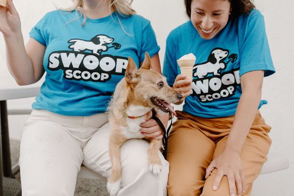 SWOOP SCOOP - Updated August 2025 - 13 Photos - Seattle, Washington ...