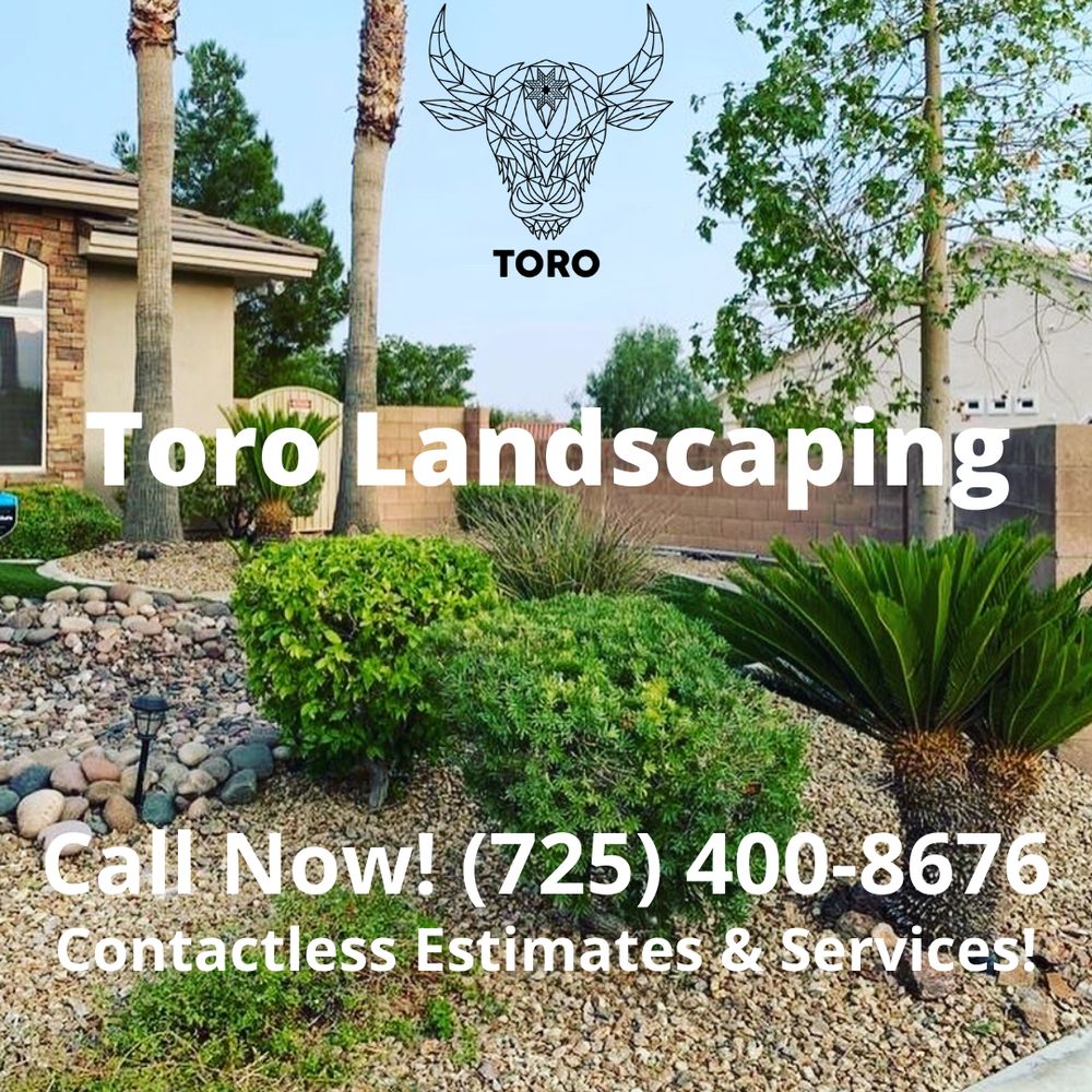 TORO LANDSCAPING - Updated December 2024 - Las Vegas, Nevada ...