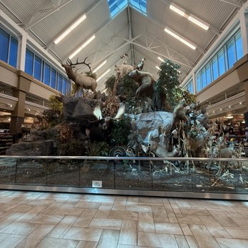 SCHEELS - Updated September 2025 - 727 Photos & 210 Reviews - 4450 ...