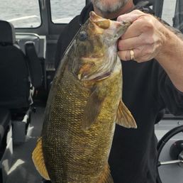 3 LEGGED PIG BBQ - Updated June 2025 - 89 Photos & 140 Reviews - 3415 ...