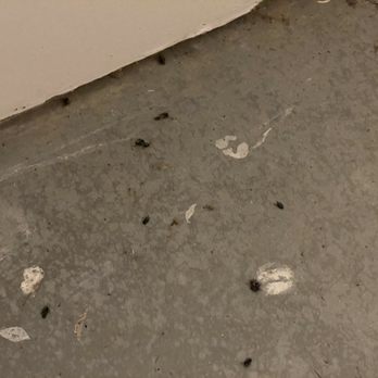 THRIVE COMMUNITIES - Updated December 2025 - 36 Photos & 53 Reviews ...