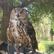 ZOOLOGICAL WILDLIFE FOUNDATION - 845 Photos & 241 Reviews - 16225 SW ...