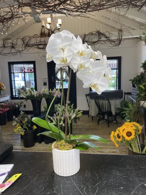 PURPLE IRIS FLOWER SHOP - Updated July 2025 - 59 Photos & 34 Reviews ...