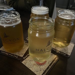 HALCYON BREWING COMPANY - 22 Photos & 16 Reviews - Breweries - 8564 ...