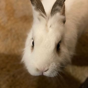 STIERN VETERINARY HOSPITAL - Updated December 2025 - 38 Photos & 72 ...