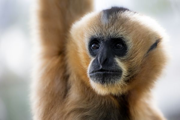 STONE ZOO - Updated September 2025 - 239 Photos & 213 Reviews - 149 ...