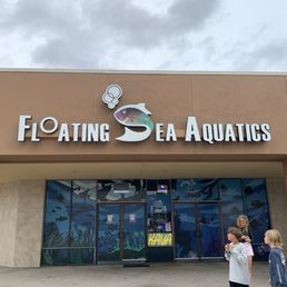 FLOATING SEA AQUATICS - Updated November 2025 - 290 Photos & 65 Reviews ...