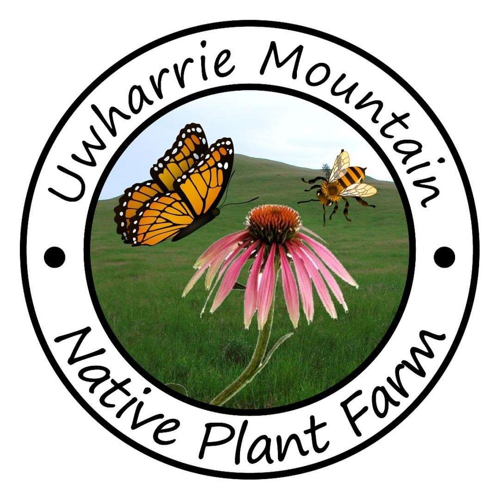 UWHARRIE MOUNTAIN NATIVE PLANT FARM - Updated June 2025 - 508 E Main St, Biscoe, North Carolina ...