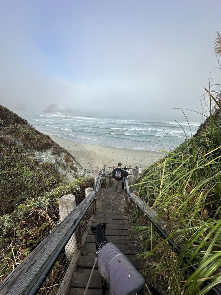 PLASKETT CREEK CAMPGROUND - Updated December 2025 - 132 Photos & 98 ...