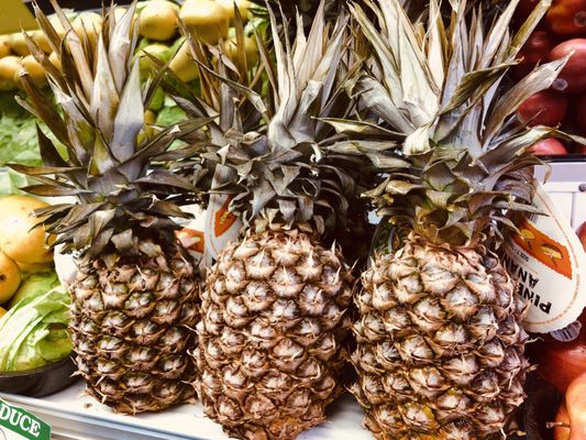 PRODUCE BARN - 28 Photos & 16 Reviews - 72 Mansfield Ave, Norton ...