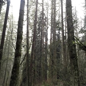 WHIPPLE CREEK REGIONAL PARK - Updated January 2026 - 61 Photos & 17 ...