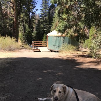 REDWOOD MEADOW CAMPGROUND - Updated January 2026 - 63 Photos & 21 ...