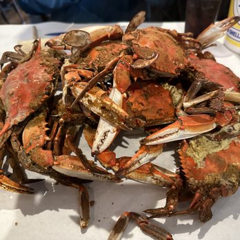 QUARTERDECK - 744 Photos & 915 Reviews - 1200 Fort Myer Dr, Arlington ...