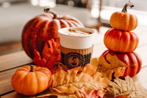 COMMON GROUNDS - 485 Photos & 432 Reviews - Coffee & Tea - 1123 S 8th ...