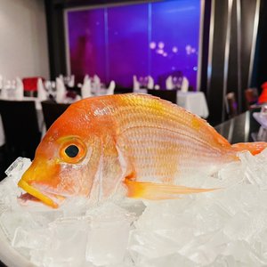 FLYJIN - Updated December 2025 - 129 Photos & 80 Reviews - 417 Rue ...