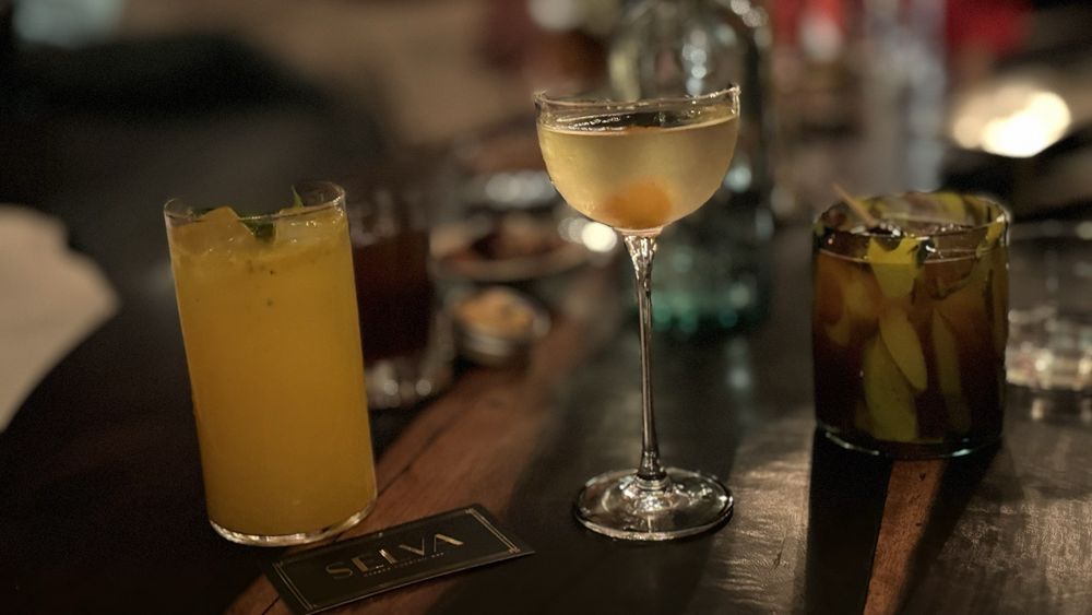 SELVA - Updated November 2025 - 114 Photos & 37 Reviews - Calle ...