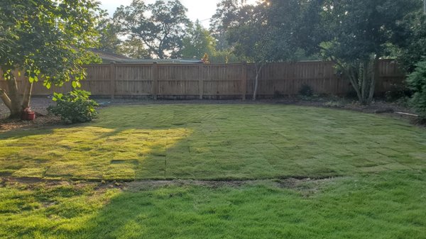 AMAZING LAWN CARE - Updated October 2025 - 31 Photos - Columbia, South ...