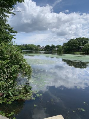 ELL POND PARK - Updated June 2025 - 24 Photos - Main St & Lebanon St ...