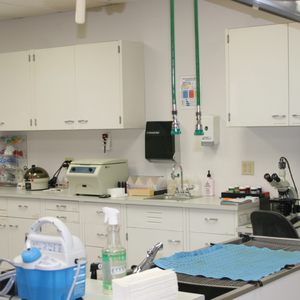 COUNTRYSIDE VETERINARY HEALTH - Updated May 2025 - 2101 E Evergreen Dr ...