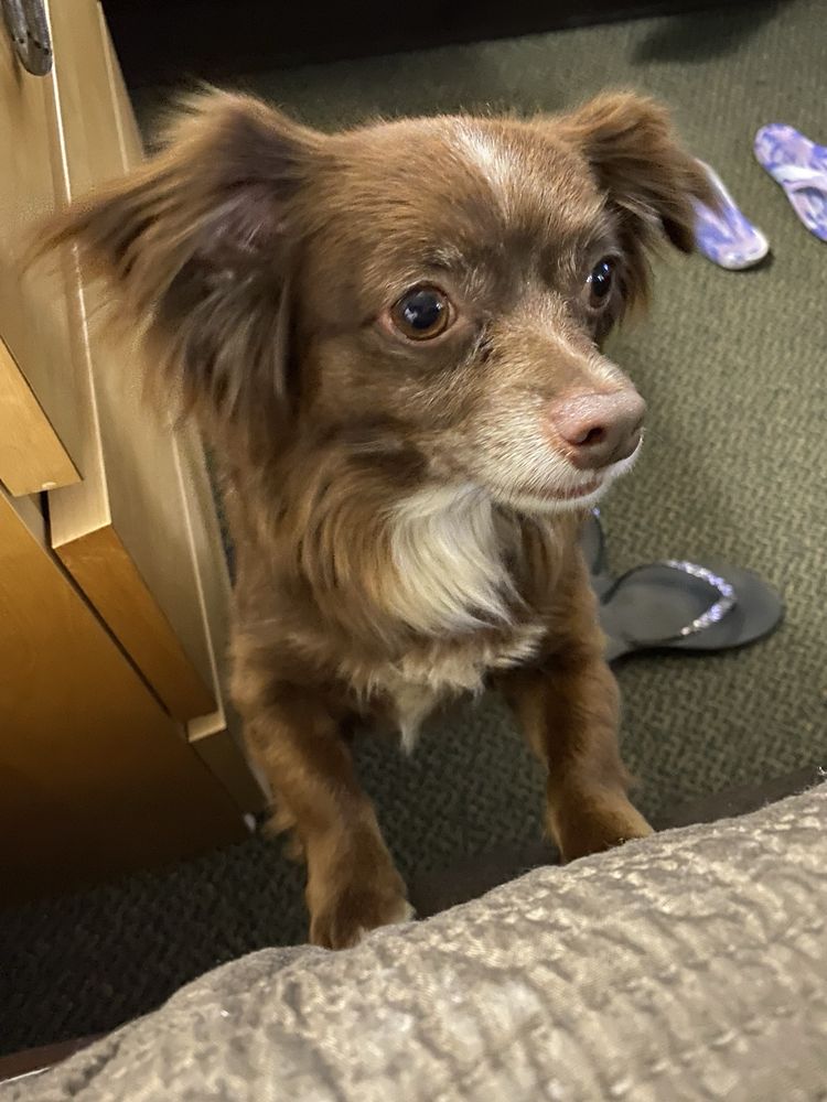 ANTLERS INN - Updated October 2025 - 11 Photos & 49 Reviews - 268 Main ...