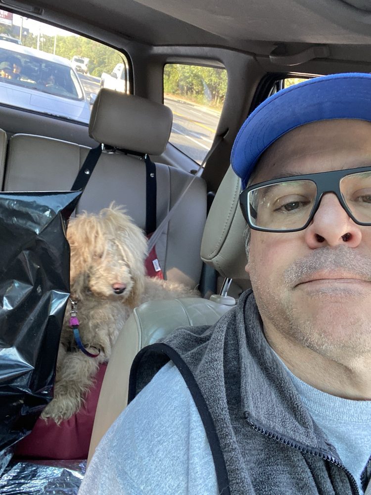 DEKALB COUNTY ANIMAL SERVICES - Updated January 2025 - 26 Photos & 54 ...