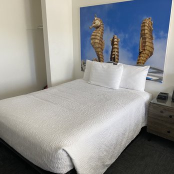 CAROUSEL BEACH INN - Updated October 2025 - 220 Photos & 232 Reviews ...