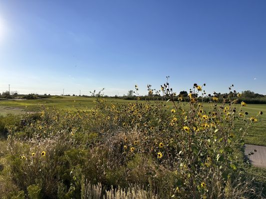 ROCKWIND COMMUNITY LINKS - Updated January 2026 - 23 Photos - 5001 Jack ...