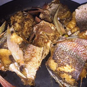 BAHAMAS FISH MARKET & RESTAURANT - Updated October 2025 - 198 Photos ...